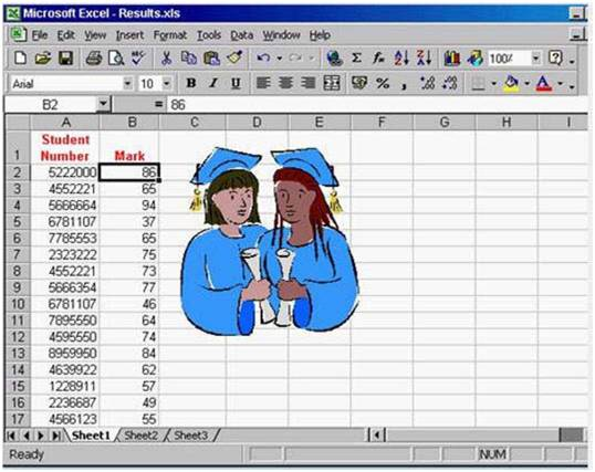 ICDL-Excel Exam Practice Test Instant Access - No Installation Required